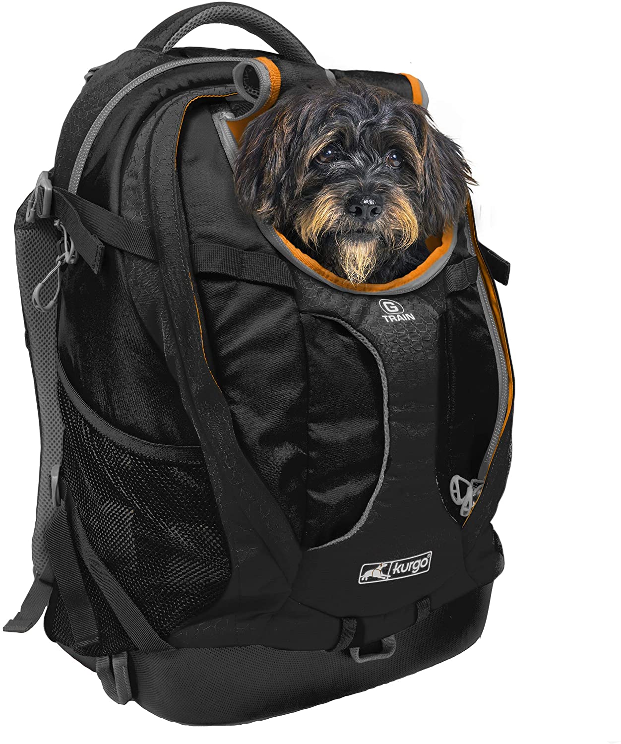 The Best Dog Carrier Backpack - Features, Pros & Cons 2021 - Backpack ...